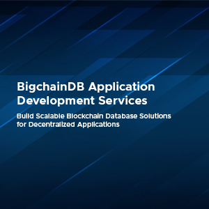 BigchainDB Application Development Services | BigchainDB Solutions