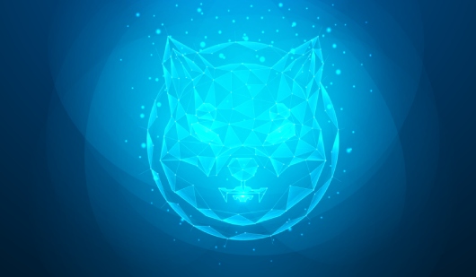 How DRC-20 Token Standard is Changing Dogecoin's Future