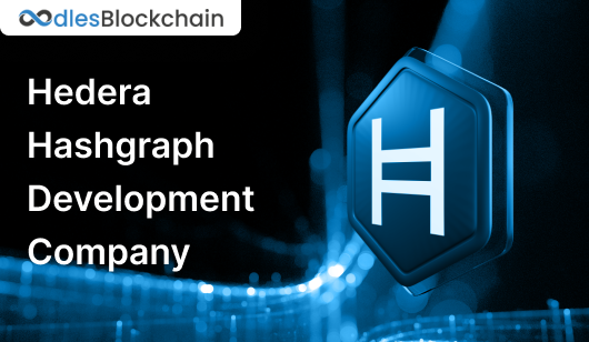 Hedera Hashgraph Development Company | Oodles Blockchain