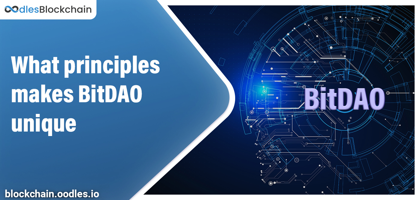 Key Principles for Building an Advanced and Unique BitDAO